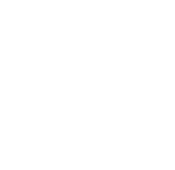 ShanghaiTech University